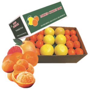 Mix Citrus Box | Medina FFA
